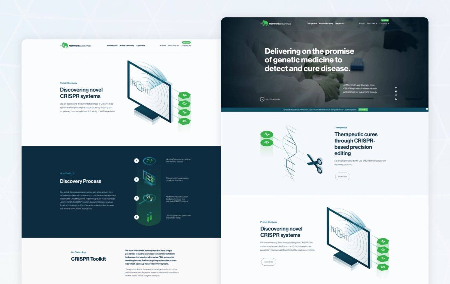 Roman Landa | E-commerce Web Developer | Shopify & Square Partner